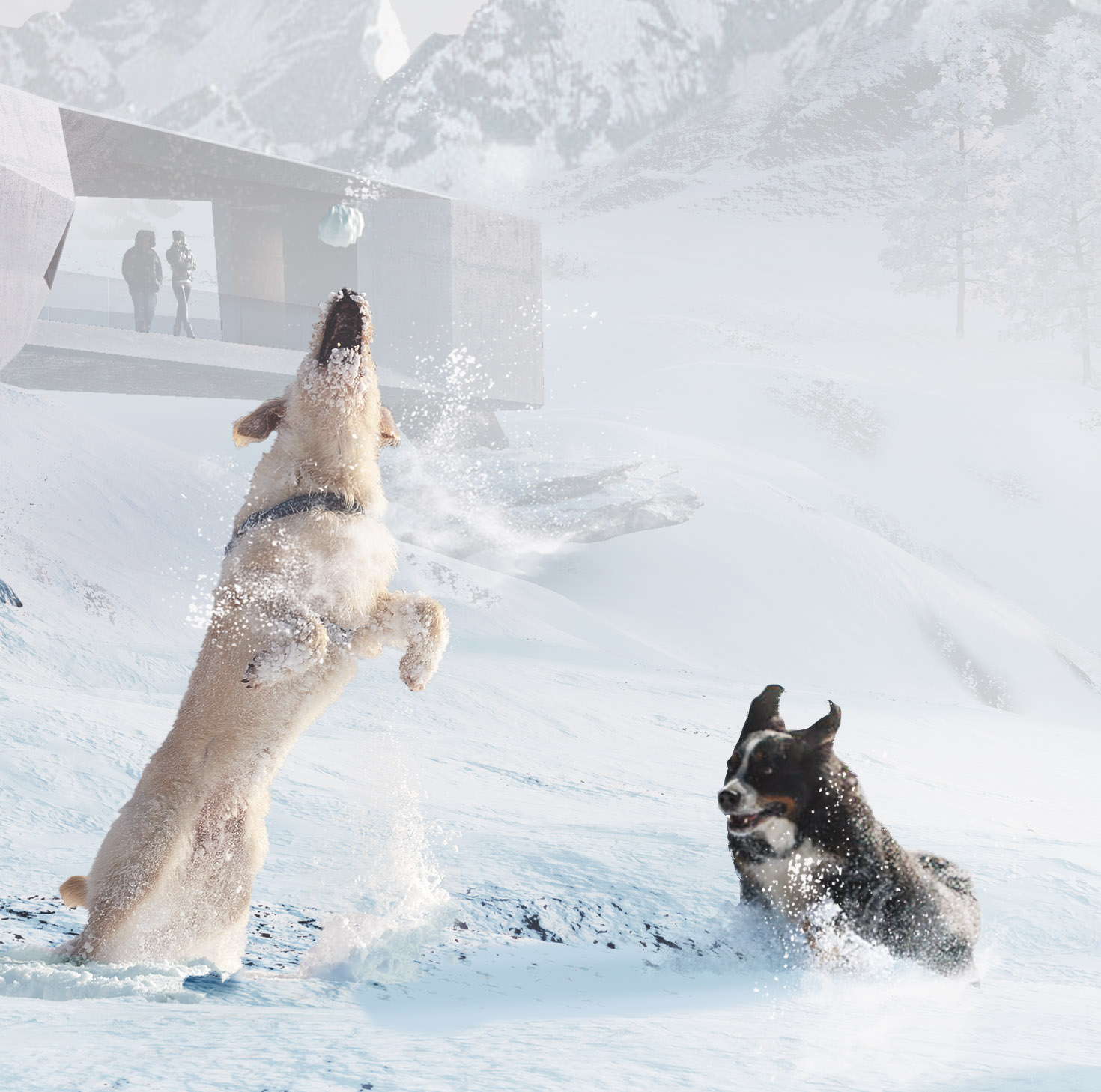 Unreal_Render_Winter_Dogs_by_xoio - xoio